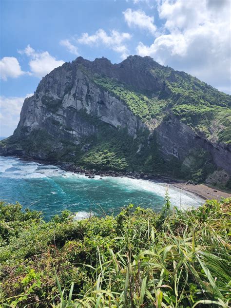 나홀로 제주도 당일치기 갓다왓으요 음식여행 에펨코리아