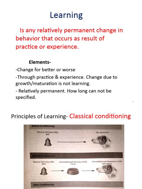 Learning Pdf Classical Conditioning Reinforcement
