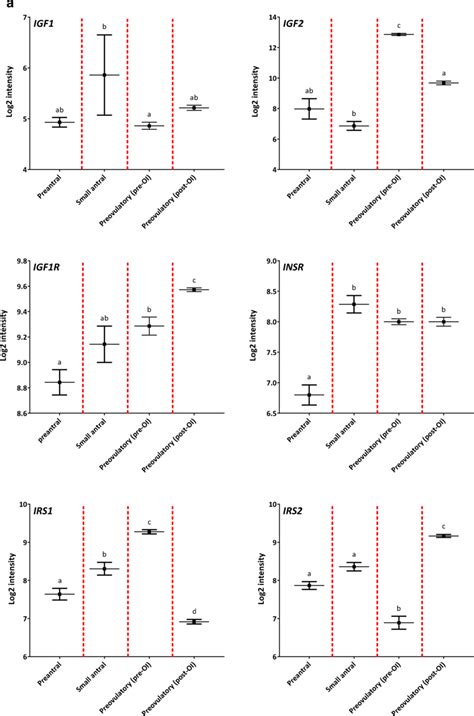 Gene Expression Profiles Of Igf Genes During Human Folliculogenesis