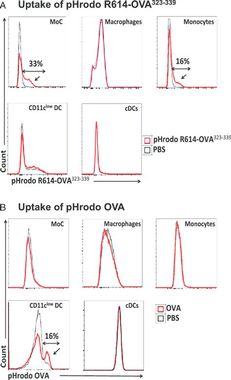 Phrodo Labeled Ova Was Internalized By Cd11c Low Mhc Ii Cells
