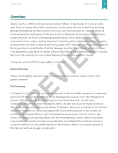 Naked Lunch Literature Guide By Supersummary Tpt