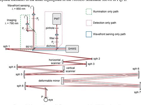 Figure 2 From Non Common Path Aberration Correction In An Adaptive Optics Scanning