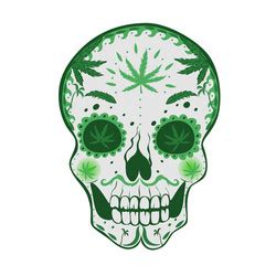 Skull Drawing Isolated Royalty Free Vector Image