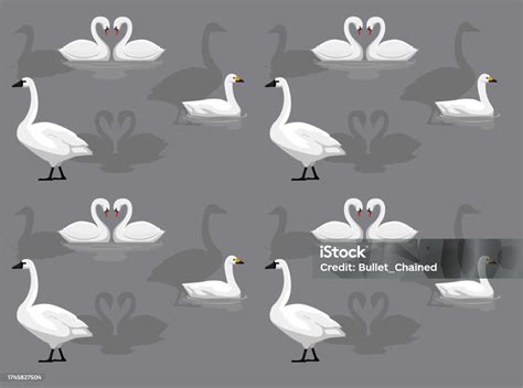 새 미국 백조 세트 만화 원활한 벽지 배경 백조에 대한 스톡 벡터 아트 및 기타 이미지 백조 호수 개체 그룹 Istock