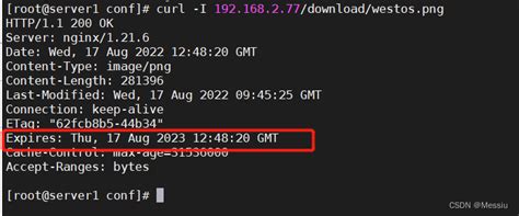 Nginx的限流、配置管理及重定向nginx 禁止重定向 Csdn博客