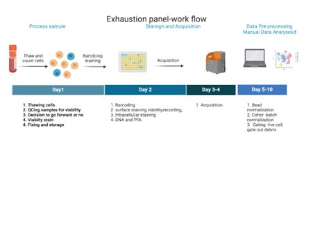 Cytof Center For Cancer Cell Therapy Stanford Medicine