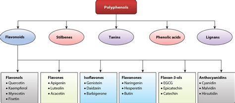 Classification Of Polyphenols And Flavonoids With Selected Examples Download Scientific Diagram