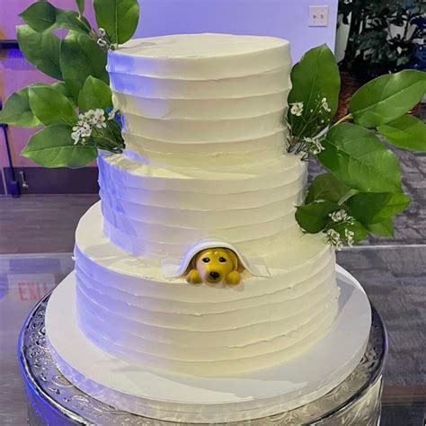 Wedding Cakes Paddy Cake Bakery