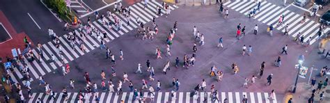 The Future Of Magento Open Source Developer Connection