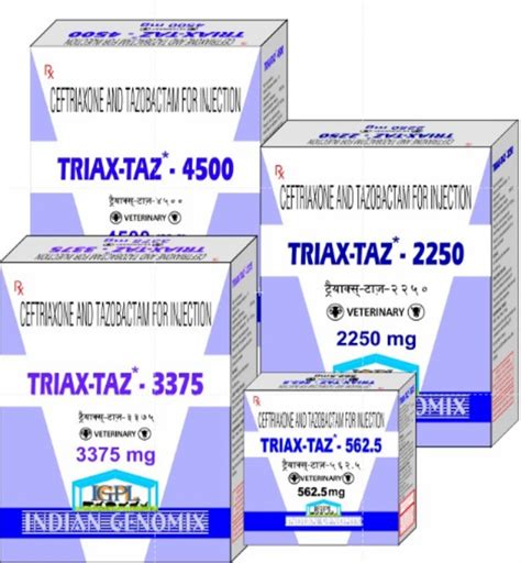 Antibiotic Injection In Hyderabad Telangana Get Latest Price From Suppliers Of Antibiotic