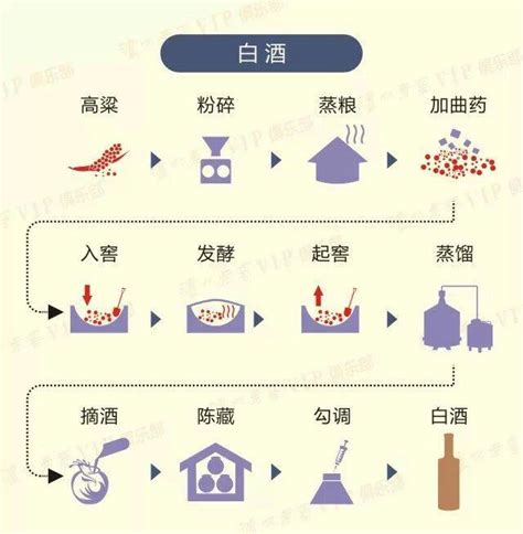 粮食变美酒，一张图统统搞明白！ 知乎