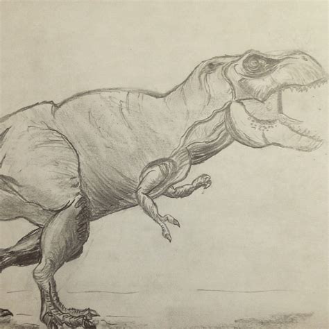 Dinosaur Sketch At Explore Collection Of Dinosaur
