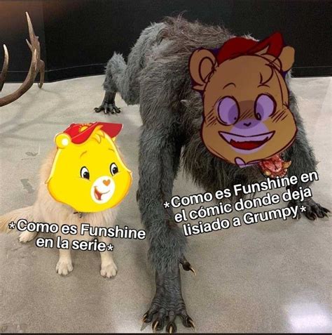 Memes Con Ositos