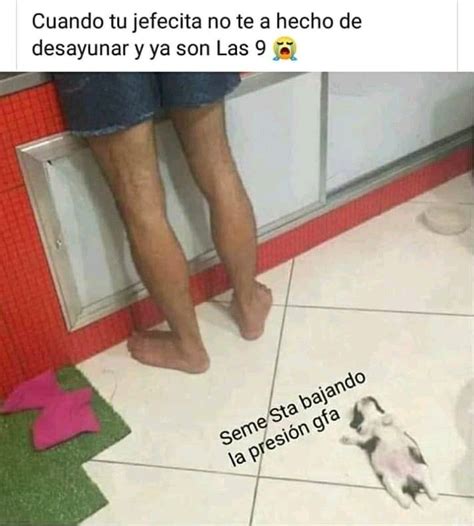 Pin De Nath En Mininos Funny Memes Divertidos Memes Cómicos Memes