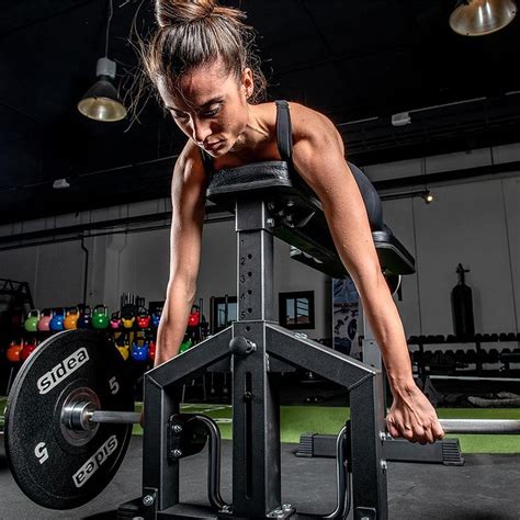 9021 Seal Row Bench Sidea Fitness Company International