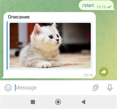 python Как разместить строку над текстом stack overflow на русском