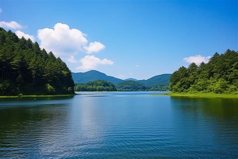 푸른 하늘과 밝은 푸른 하늘이 있는 녹색 초원 아름다운 푸른 하늘과 신선한 녹색 초원 풍경 고화질 사진 사진 하늘 배경 일러스트 및 사진 무료 다운로드 Pngtree