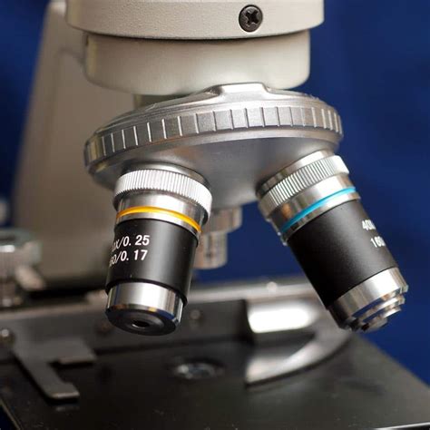 Partes Del Microscopio Significado Funciones Uso Y Más
