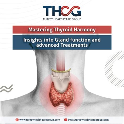 Mastering Thyroid Harmony Insights Into Gland Function And Advanced