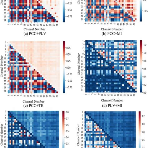 Heatmap Representation Of Sample Connectivity Feature Maps Cfms Heatmap Representation Of Sample Connectivity Feature Maps Cfms