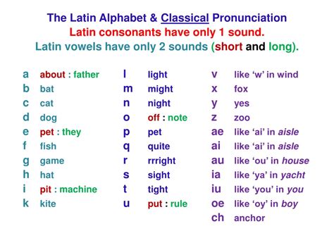 Ppt The Latin Alphabet And Classical Pronunciation Latin Consonants Have Only 1 Sound