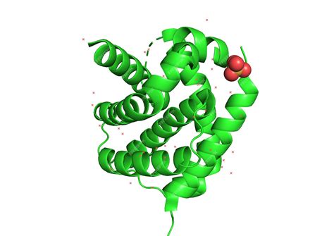 Premium Photo 3d Structure Of The Protein Molecule