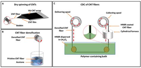 Evaluation Of Polymer Coated Carbon Nanotube Flexible Microelectrodes For Biomedical Applications