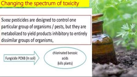 Microbial Degradation Of Pesticides Pptx