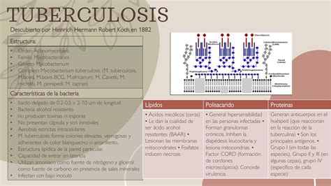 Tuberculosis Natasha Narda Udocz