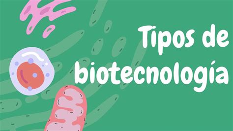 Tipos De Biotecnología Fabiola Rodriguezsantos Udocz