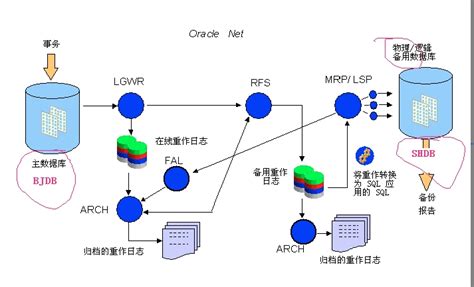 oracle dg 最大保护（maximize protection 和最高可用性（maximize availability）异同 csdn博客