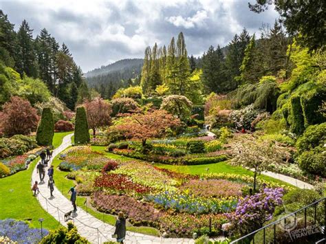Where Is Butchart Gardens In Victoria Bc Jennie Butchart Victoria