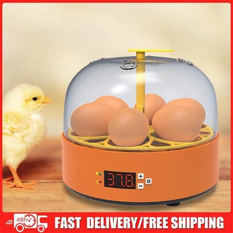 6 Egg Incubator Mini Eggs Incubation Brooder 15w Adjustable Temperature