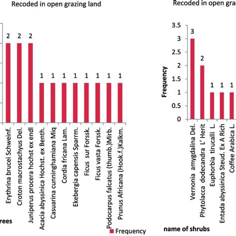 Population Frequency Value Of Trees Left And Shrubs Right In The Download Scientific