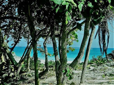 Autor Alejandro Uriegas Wild Tulum México Tulum Outdoor Farmland
