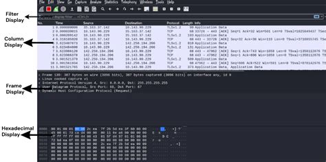 Dns In Wireshark Geeksforgeeks Handlait