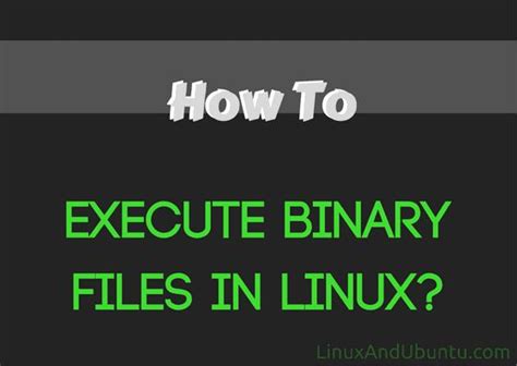 How To Execute Binary Files In Linux Linux Execution Binary