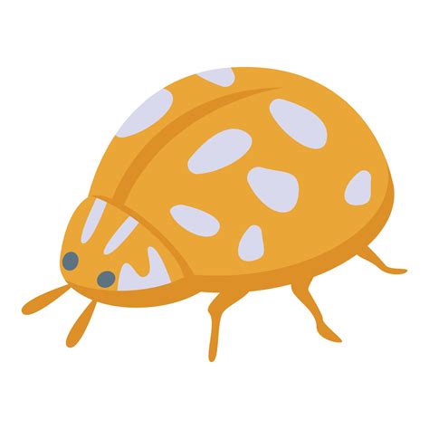 Orange Ladybug Icon Isometric Vector Cute Ladybird 15010920 Vector Art At Vecteezy