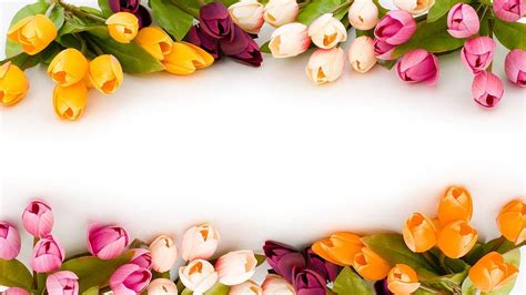 Powerpoint Backgrounds Flowers