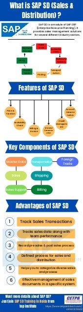 What Is Sap Sd Sales And Distribution