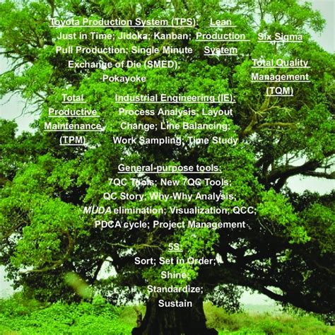 2 Roots Trunk And Branches Of Kaizen Source Created By The Author Download Scientific