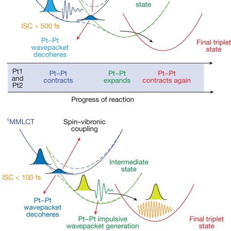 Vibrational Coherence Dynamics During Isc Ptpt Vibrational Wavepacket