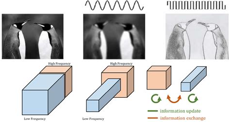 Octave Convolution Taking A Step Back And Looking At Inputs By Abinash Mohanty Tds