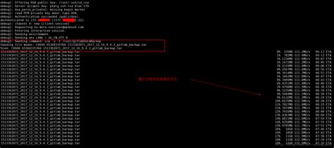 【linux学习 】linux使用script命令来记录并回放终端会话 Csdn博客