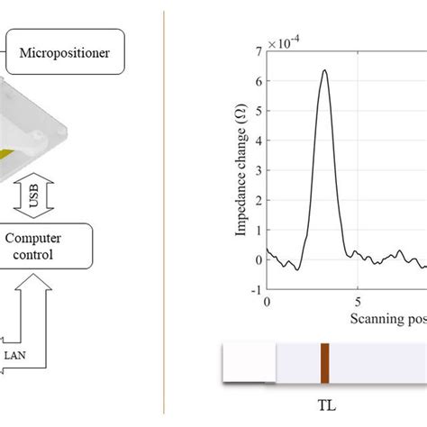 Summary Of The Basic Formats Of Lateral Flow Assays A Scheme Of A Download Scientific