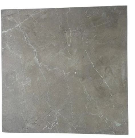 Glossy Gray Ceramic Floor Tile At ₹ 25 Square Feet In Mumbai Id 27378450791
