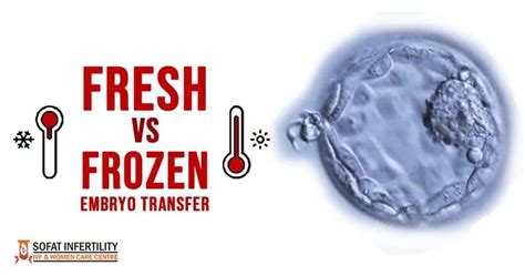 Explain Which Method Is Better For Ivf Treatment Fresh Vs Frozen