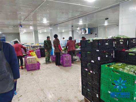 果蔬保鲜冷库建造及储存事项介绍上海雪艺制冷科技发展有限公司