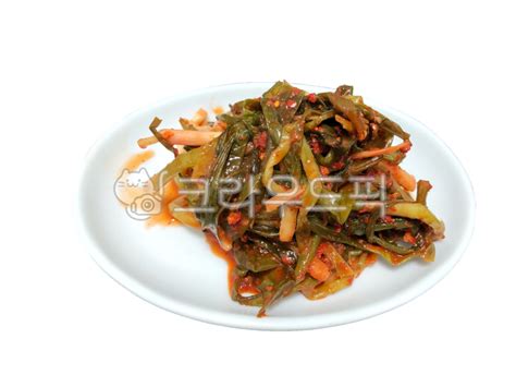 파김치 김치 한국음식 누끼 배경 사진 이미지 일러스트 캘리그라피 나비처럼작가