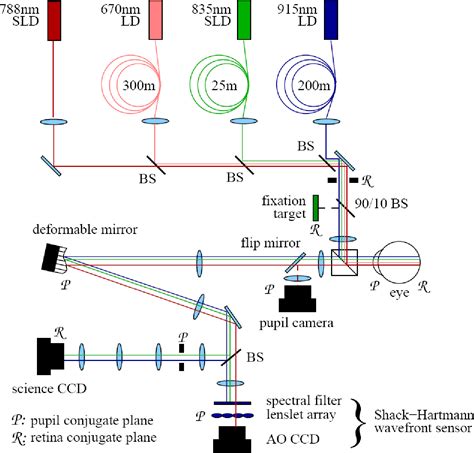 Figure 1 From In Vivo Functional Imaging Of Human Cone Photoreceptors Semantic Scholar